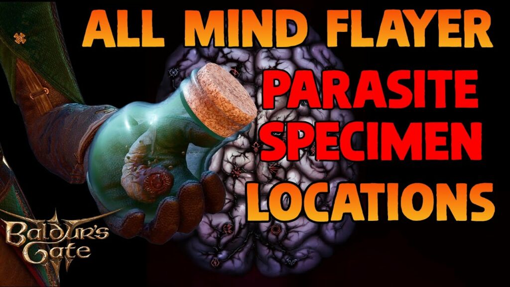 All Illithid Parasite Specimen Locations in Baldur's Gate 3