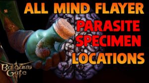 All Illithid Parasite Specimen Locations in Baldur's Gate 3